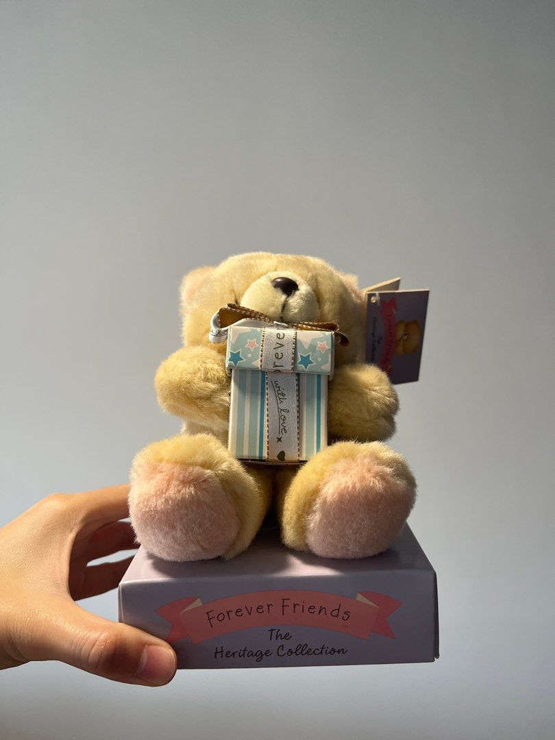 Forever Friends Bear Plush, Hobbies & Toys, Toys & Games on Carousell
