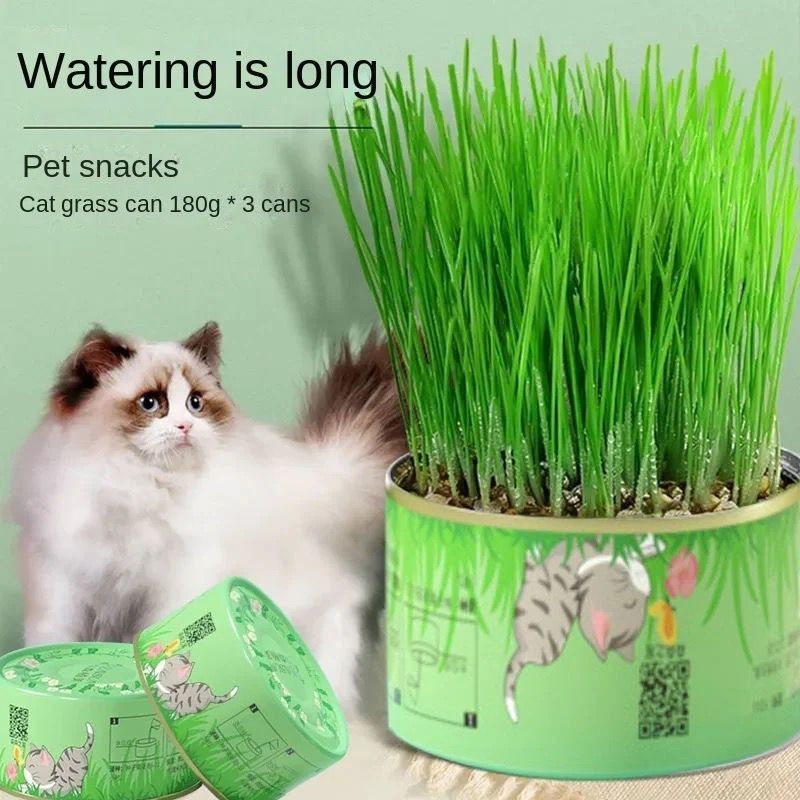 Grow your Cats organic Grass Planting Pot Cat Snacks To Remove Hair ...