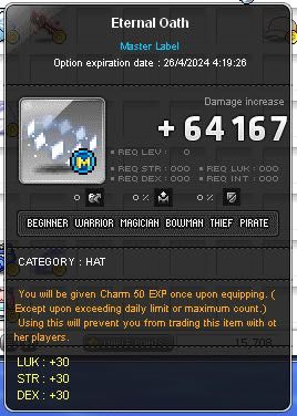 Maplestory Eternal Oath 30 STR DEX LUK 1 YEAR, Video Gaming, Gaming ...