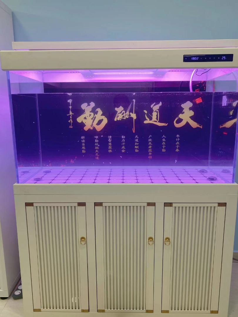 panoramic fish tank with sump system, Pet Supplies, Homes & Other Pet ...