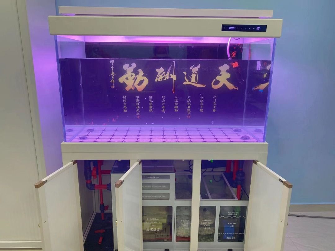 panoramic fish tank with sump system, Pet Supplies, Homes & Other Pet ...