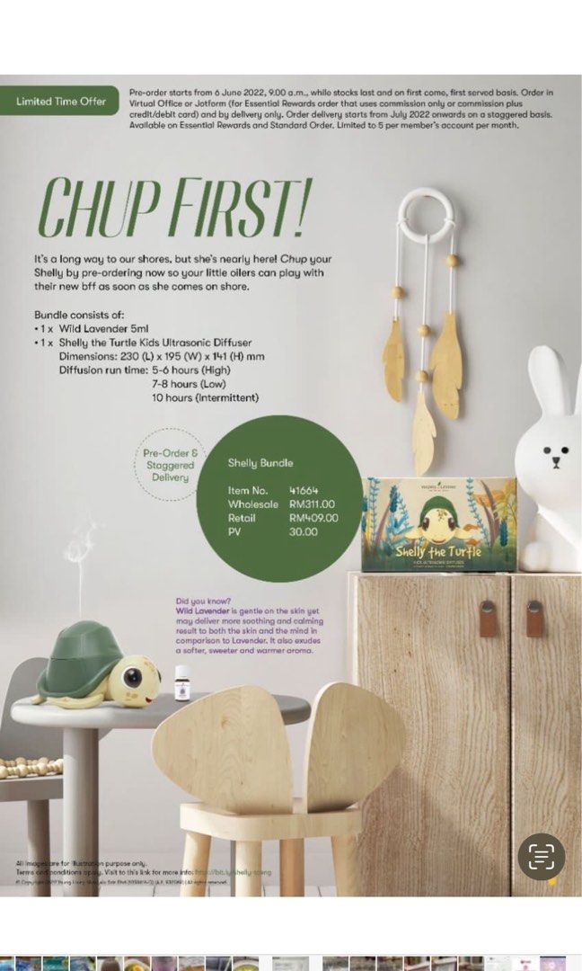 Shelly the turtle diffuser ( young living ), Furniture & Home Living ...