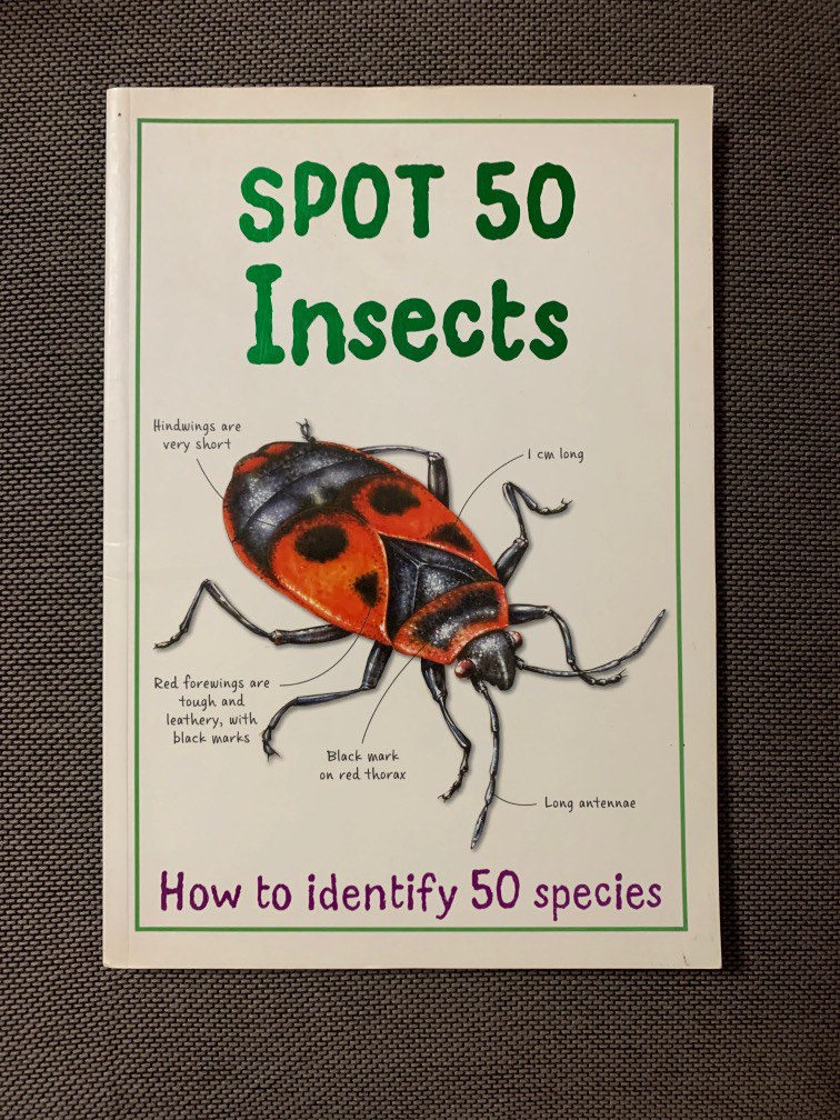 Spot 50 Insects - How to identify 50 species, 興趣及遊戲, 書本 & 文具, 小朋友書 ...
