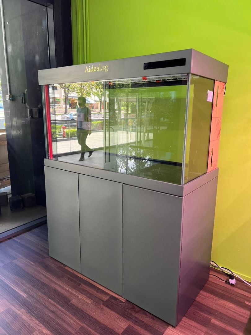 stainless steel fish tank with sump system, Pet Supplies, Homes & Other ...