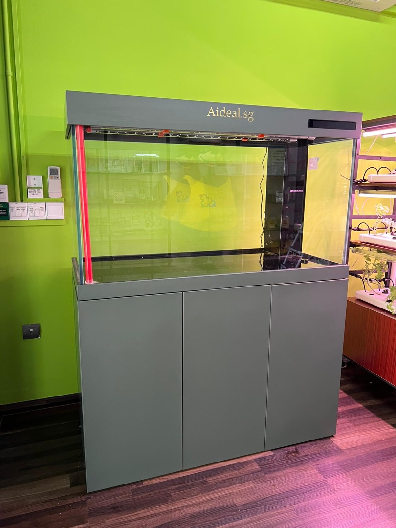 stainless steel fish tank with sump system, Pet Supplies, Homes & Other ...