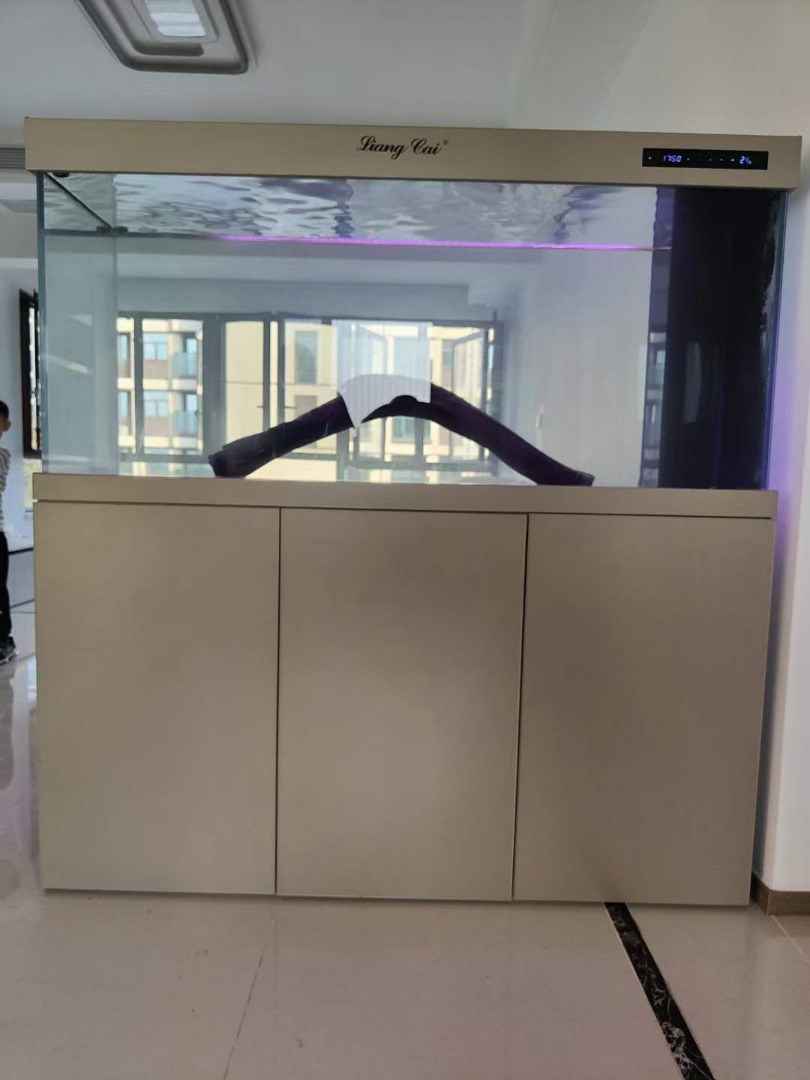 stainless steel fish tank with sump system, Pet Supplies, Homes & Other ...