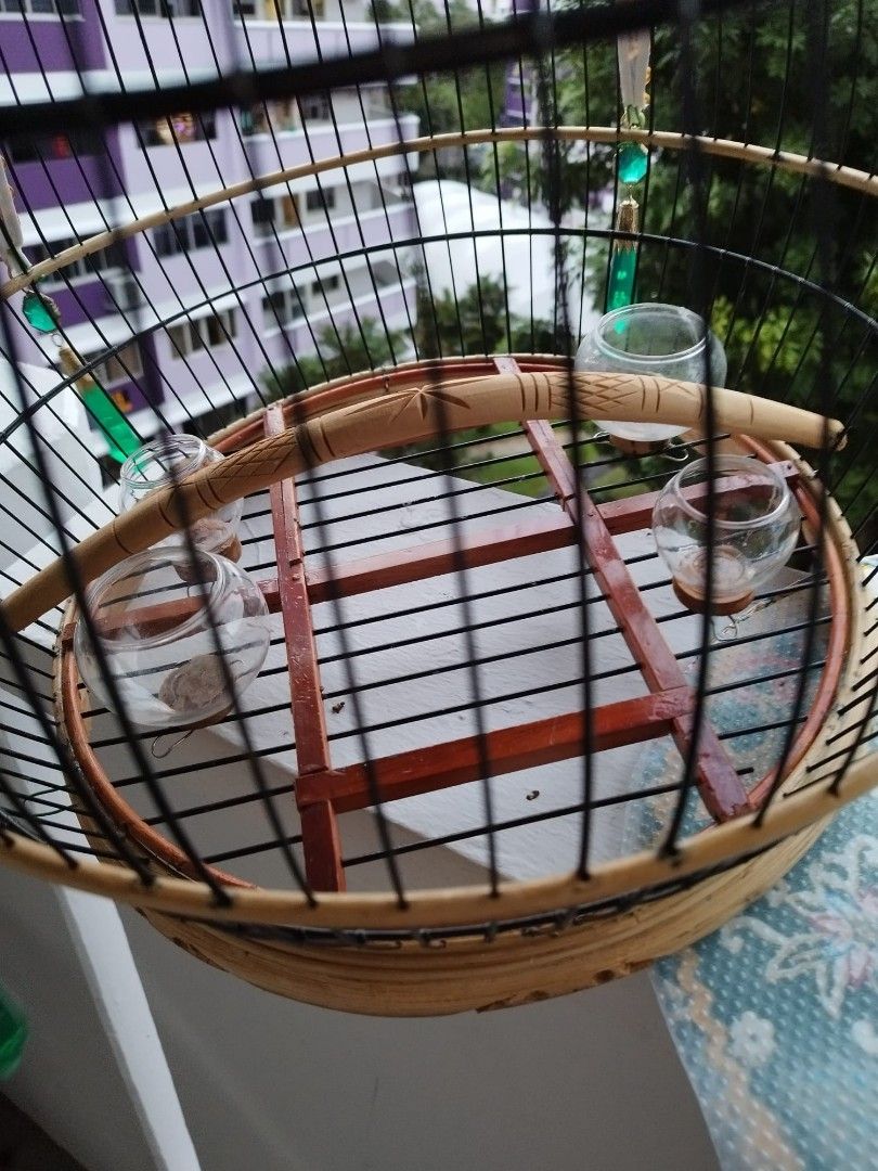 Terkukur / merbok bird cage, Pet Supplies, Homes & Other Pet ...