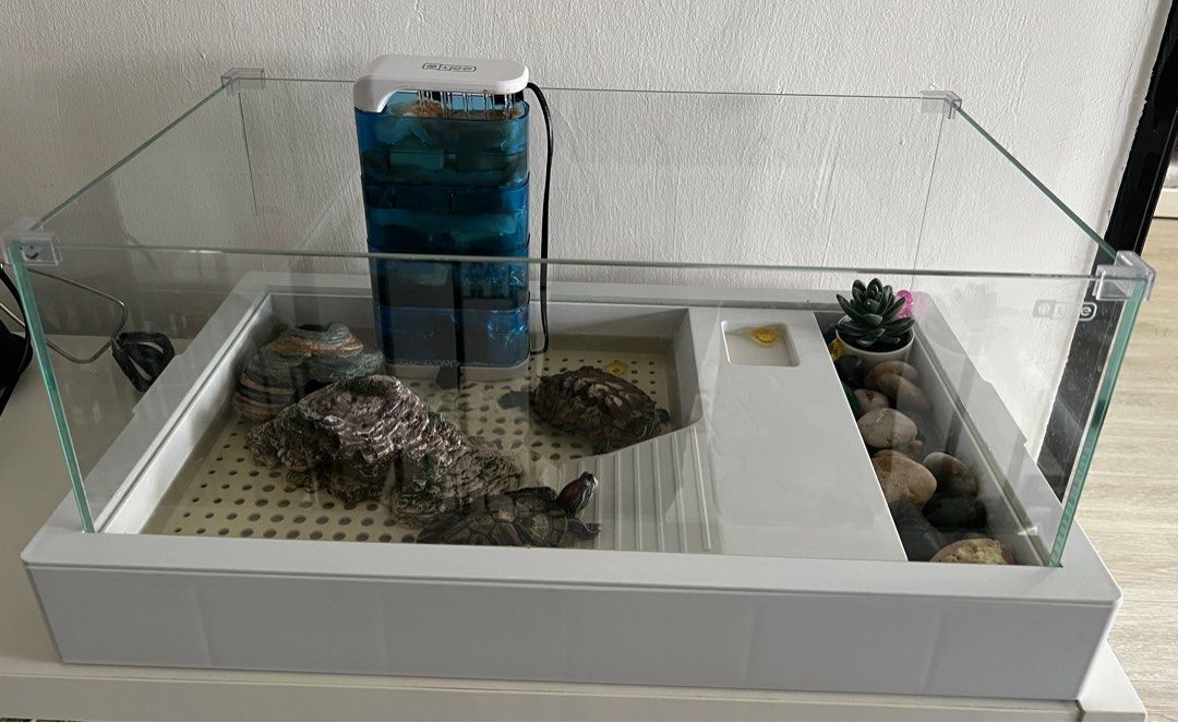Terrapin Aquarium/Tanks, Pet Supplies, Homes & Other Pet Accessories on ...