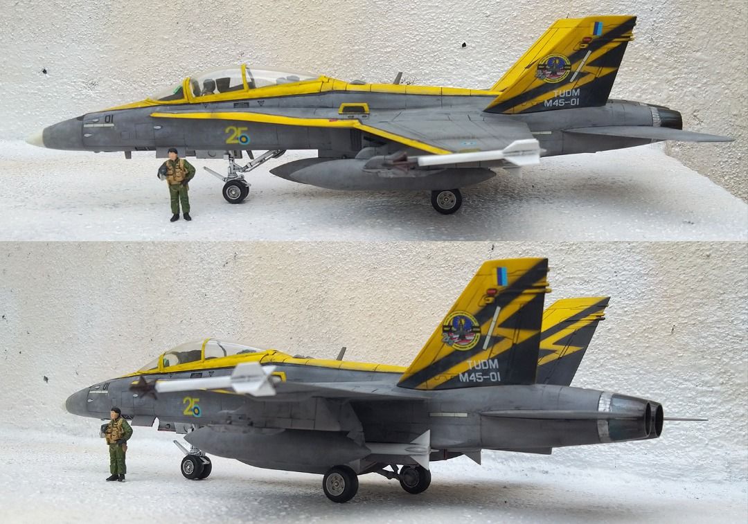 1/72 Hasegawa F/A-18D 25th Anniversary TUDM RMAF, Hobbies & Toys, Toys ...