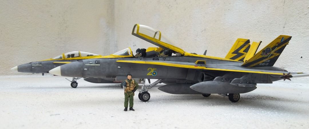 1/72 Hasegawa F/A-18D 25th Anniversary TUDM RMAF, Hobbies & Toys, Toys ...