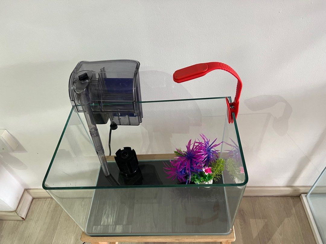 1ft All-In-One Curved Fish Tank w Light Filter Decorative Plants, Pet ...