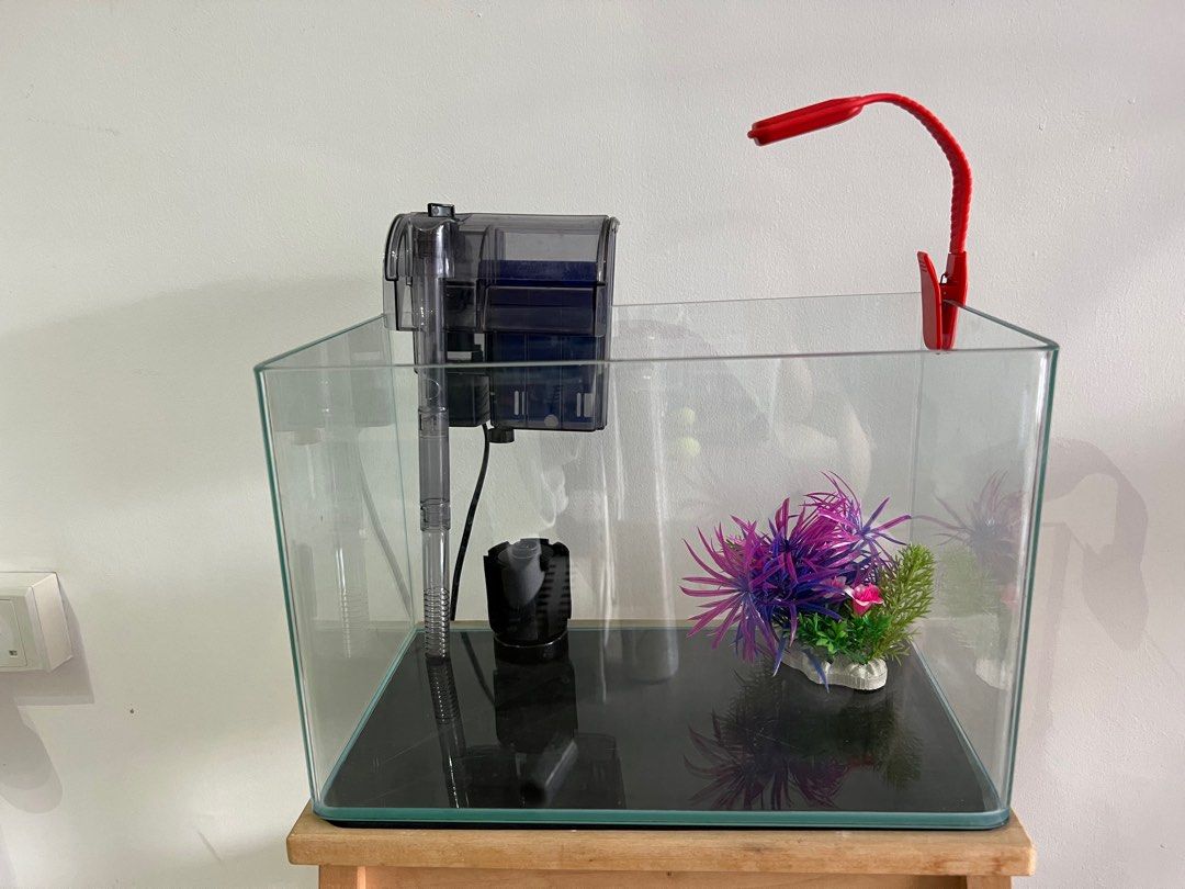 1ft All-In-One Curved Fish Tank w Light Filter Decorative Plants, Pet ...