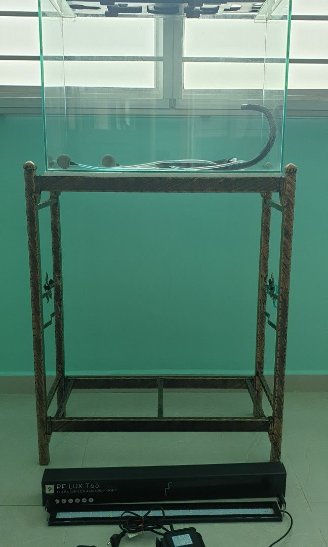 2ft Fish Tank with Stand and Accessories (Lighting, Top filter, JBL ...