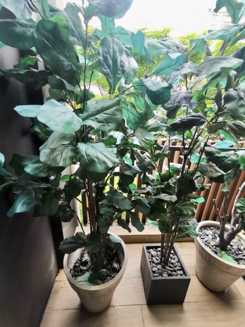 Artificial plants with pots and with pebbles fake plant, Furniture ...