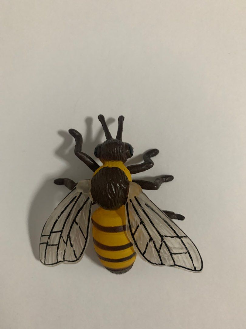 Bee Life Cycle Figurine, Hobbies & Toys, Toys & Games on Carousell