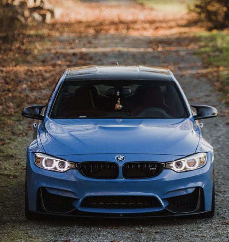 BMW Bonnet/hood original M3 M4 F30 F31 F32 F33 F34 F36 F80 F82 F83, Car ...