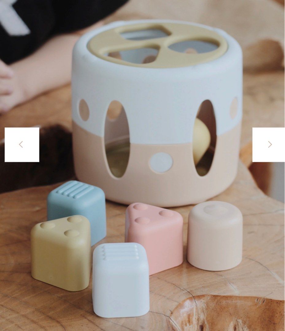 Dantoy Tiny Bio Shape Sorter, Hobbies & Toys, Toys & Games on Carousell