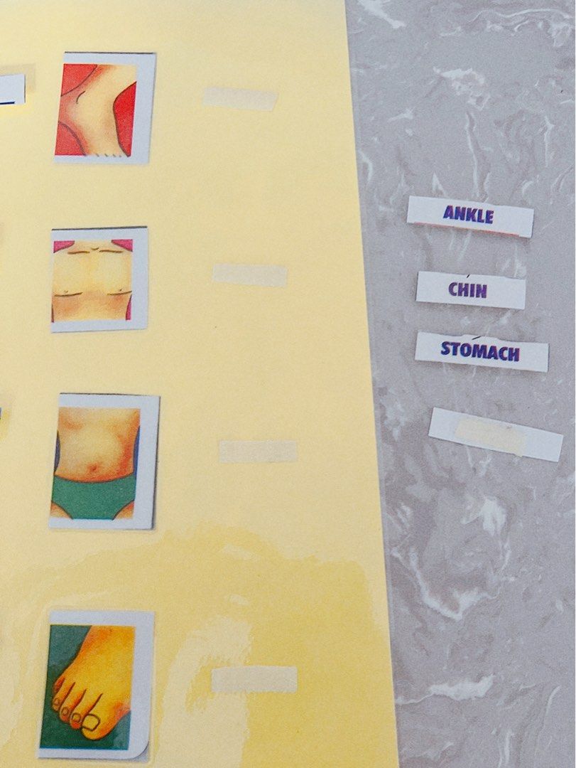 Fun learning parts of the body body part laminate Velcro, Hobbies ...