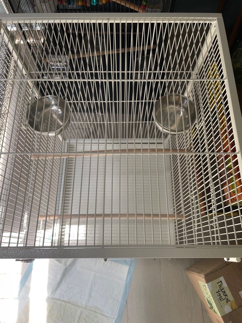 Medium size Bird cage with full acrylic front, Pet Supplies, Homes ...