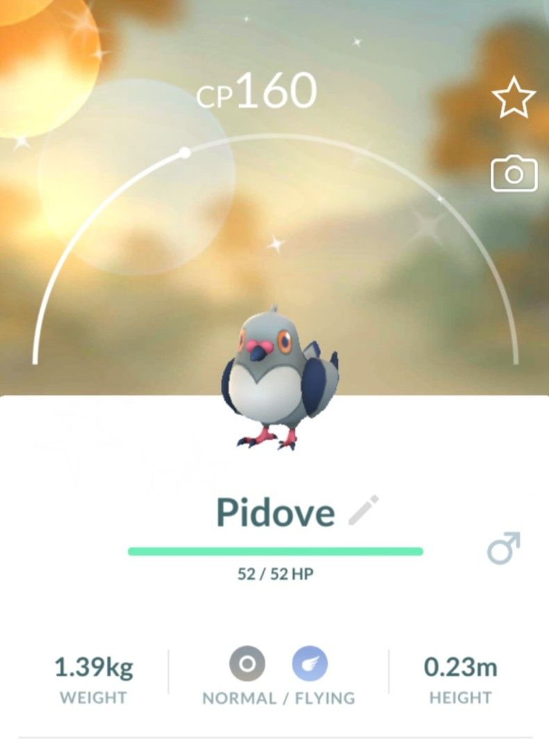 Shiny Pidove (Male): Pokemon Go, Video Gaming, Gaming Accessories, In ...