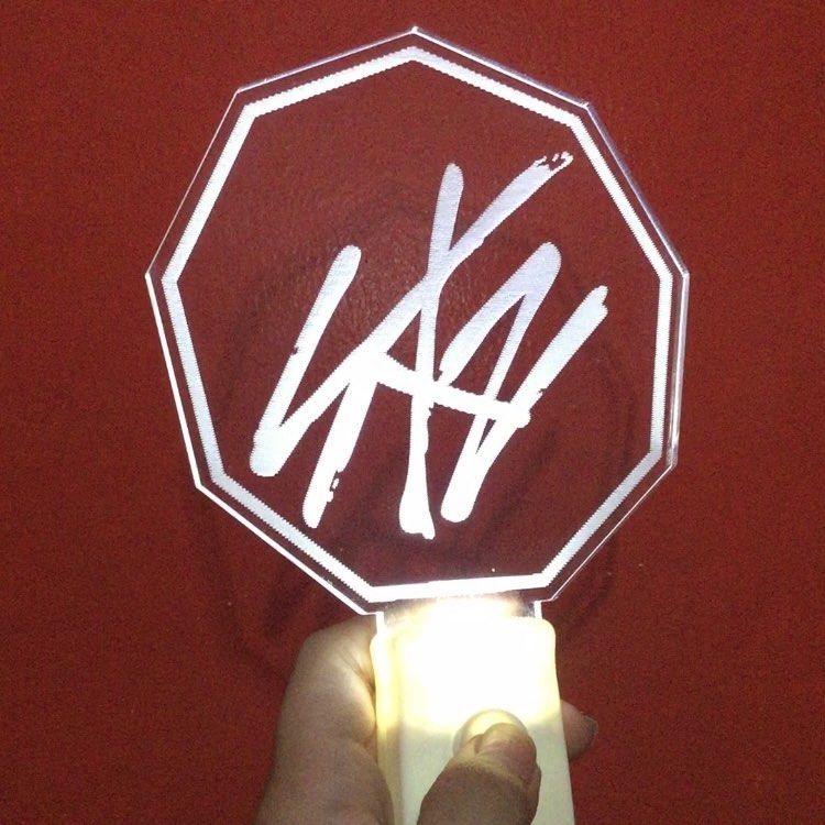 STRAY KIDS PRE-DEBUT UNOFFICIAL LIGHTSTICK, Hobbies & Toys, Memorabilia ...