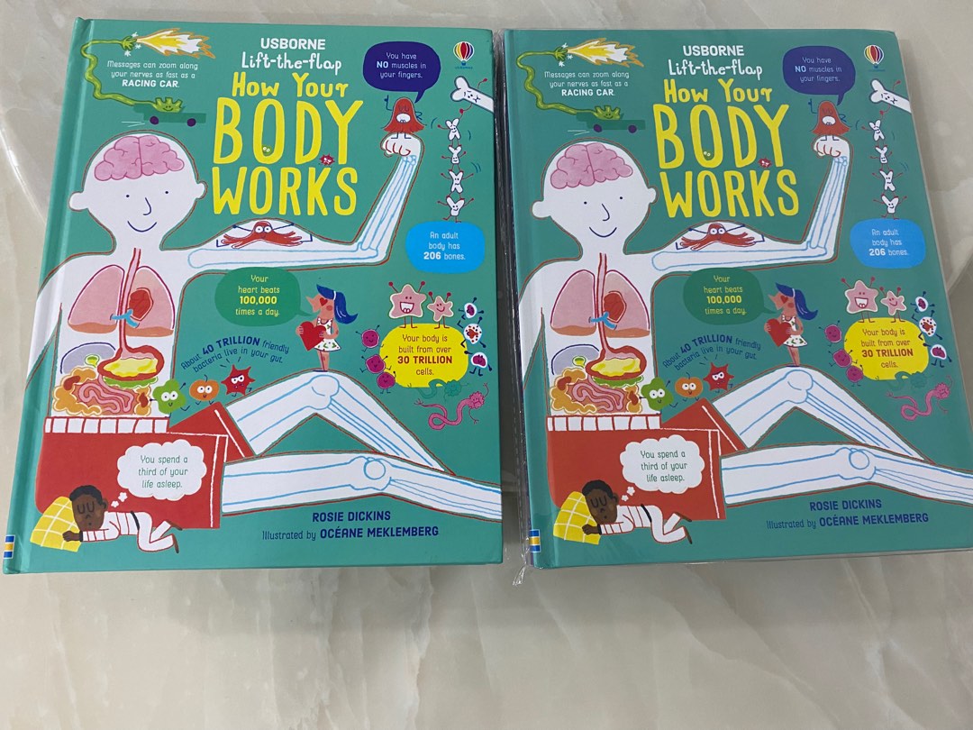 Usborne How your body works (Lift the flap), Hobbies & Toys, Books ...
