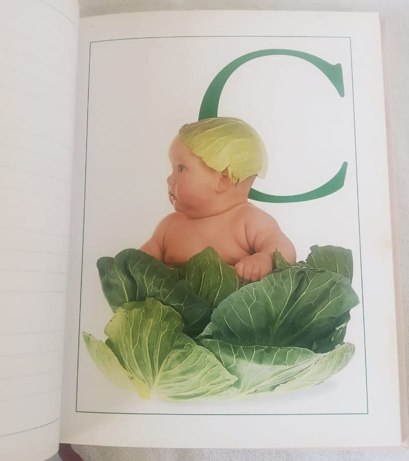 Vintage Address Book with Photos from Anne Geddes, Buku & Alat Tulis ...