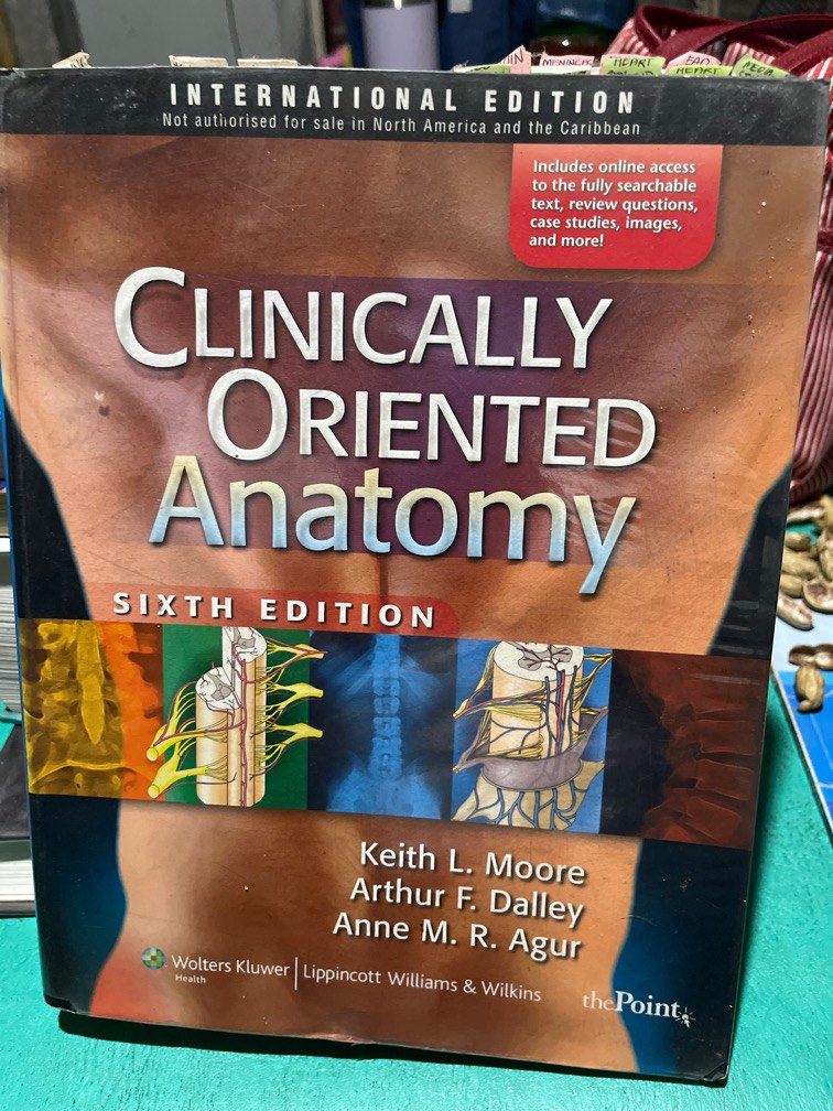 Clinically Oriented Anatomy 6th Edition Hobbies Toys Books