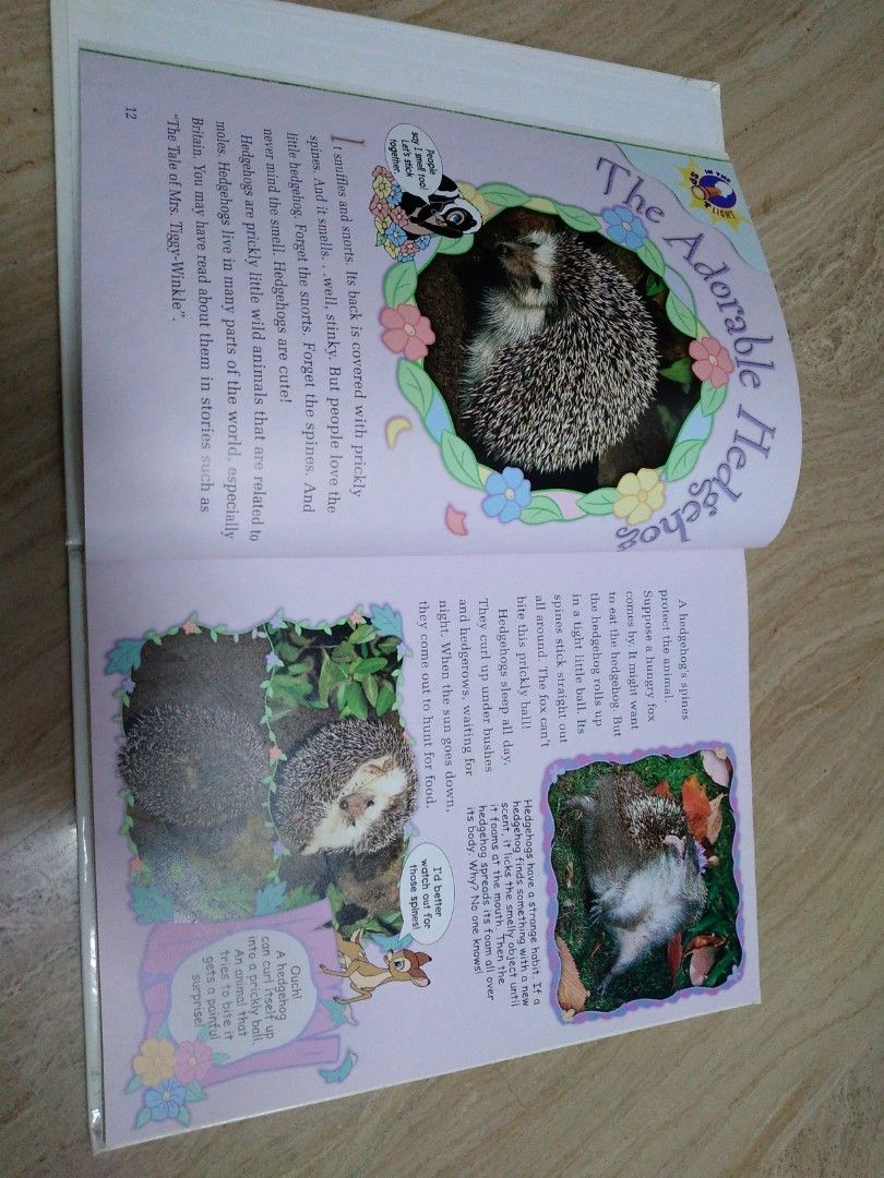 Disney's Year Book 2005, Hobbies & Toys, Books & Magazines, Children's ...