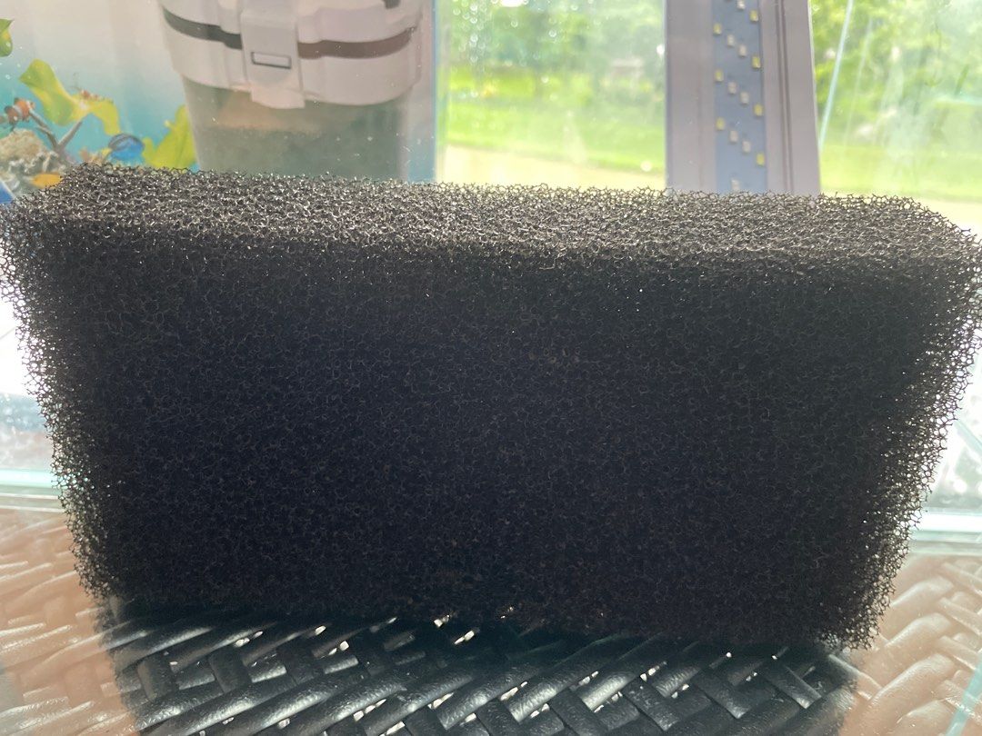 JBJ Ultra Clear tank with ISTA External Filter and Light, Pet Supplies ...