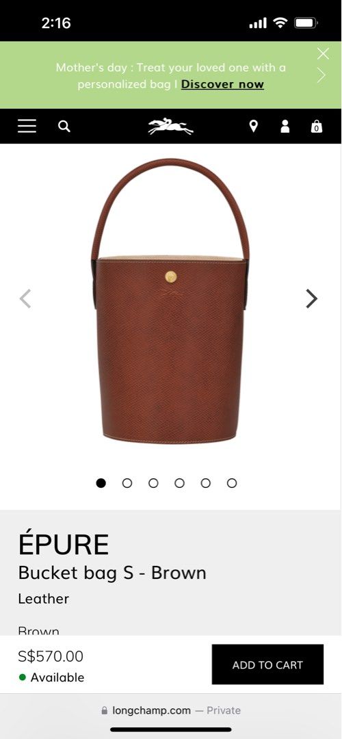 Longchamp Epure, Luxury, Bags & Wallets on Carousell