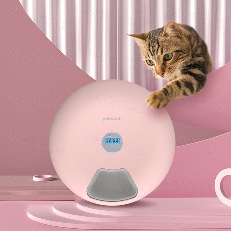 Pets Feeding Box, Pet Supplies, Homes & Other Pet Accessories on Carousell