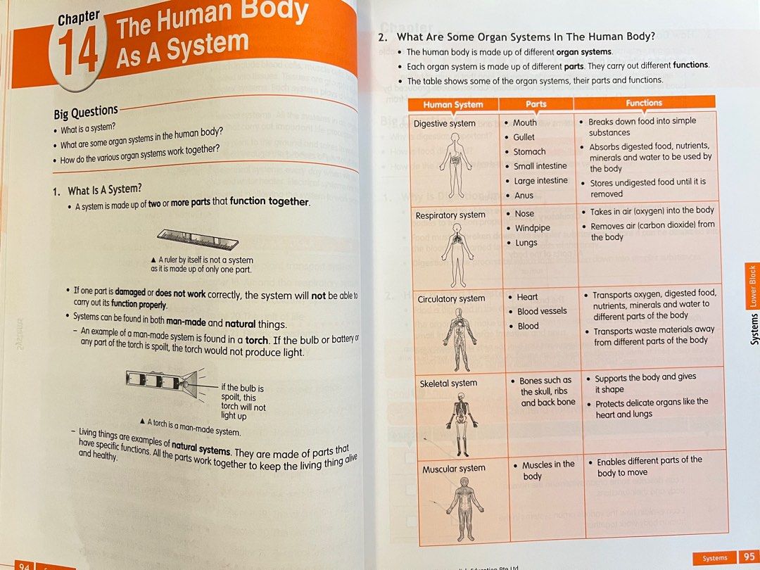 PSLE Science Tiger Book, Hobbies & Toys, Books & Magazines, Assessment ...