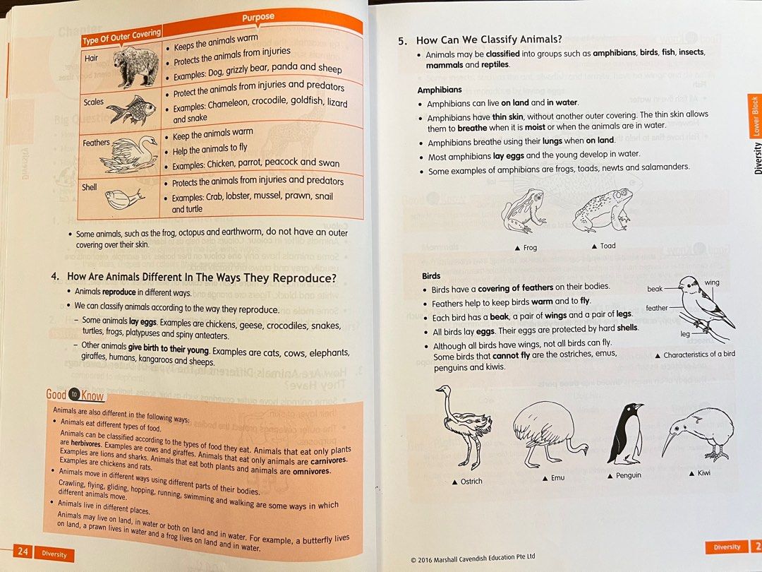 PSLE Science Tiger Book, Hobbies & Toys, Books & Magazines, Assessment ...