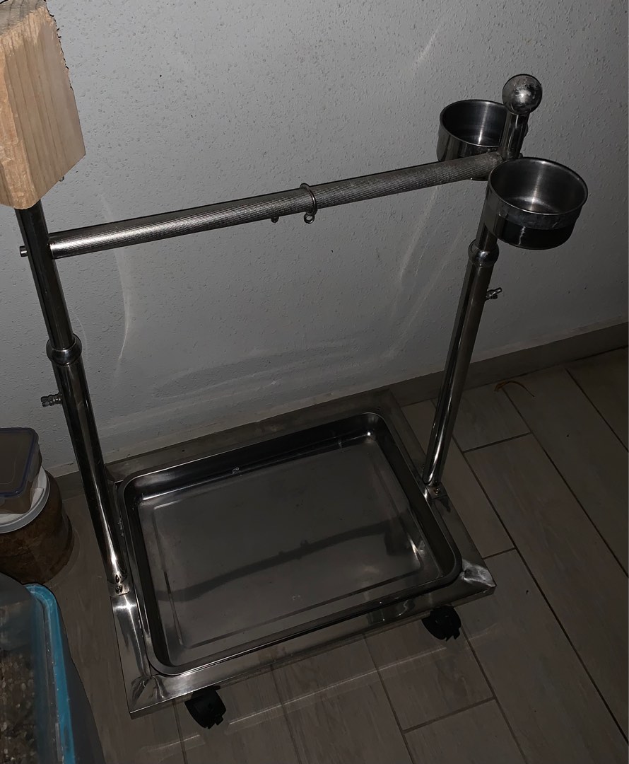 Stainless Steel Bird Parrot Stand, Pet Supplies, Homes & Other Pet ...