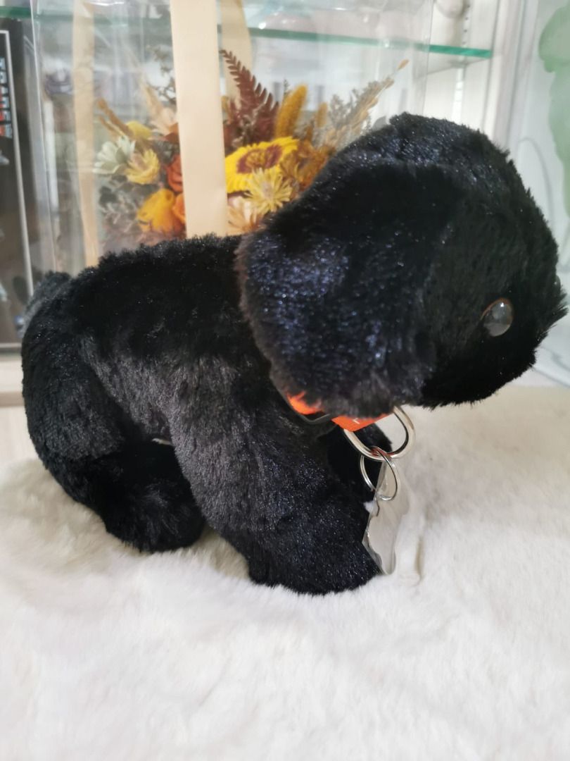 *BRAND NEW* RUCKUS SOFT TOY (BLACK DOG), Hobbies & Toys, Toys & Games ...