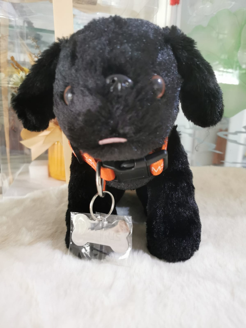 *BRAND NEW* RUCKUS SOFT TOY (BLACK DOG), Hobbies & Toys, Toys & Games ...