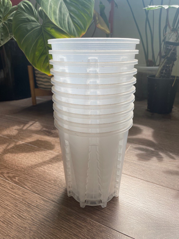 Clear plastic planters (set of 10), Furniture & Home Living, Gardening ...