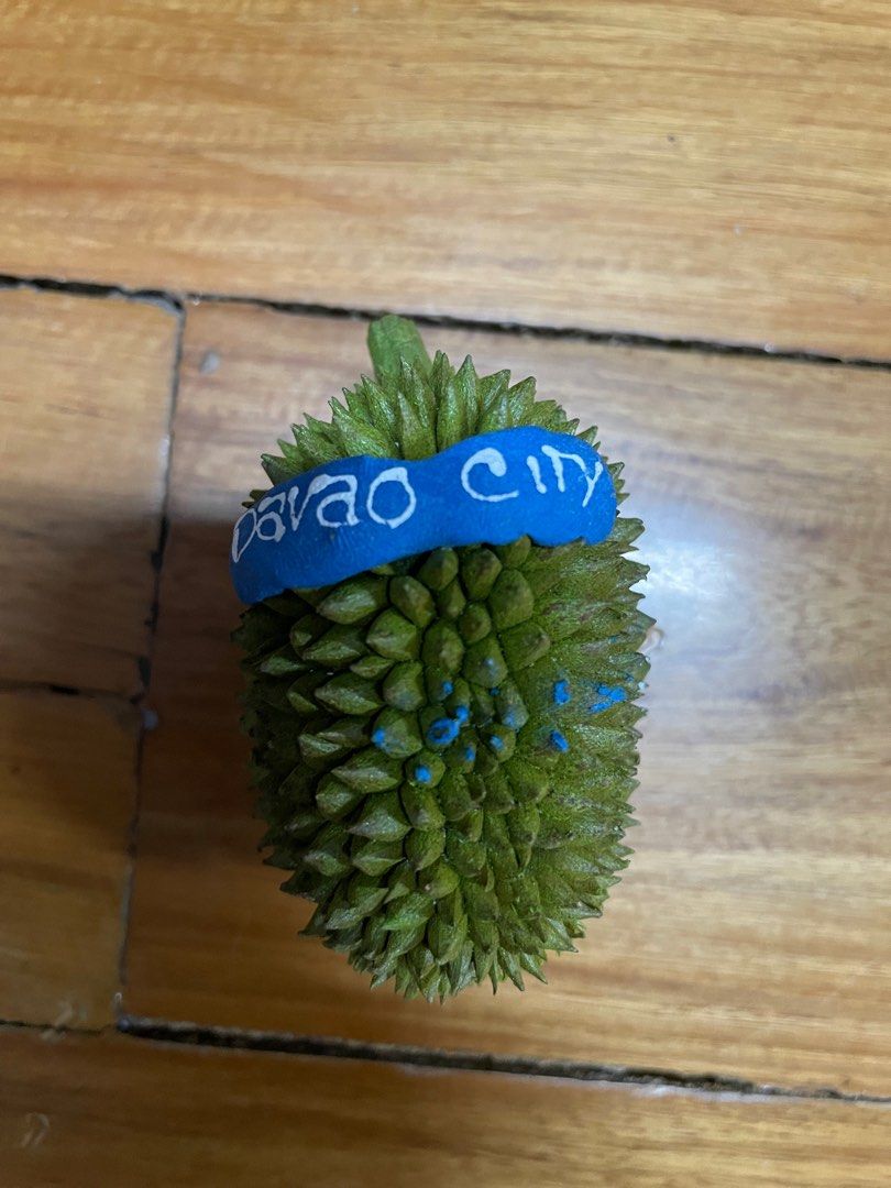 Davao , Batanes , Boracay , Cebu Fridge Magnet / Sagada Mt. Province ...