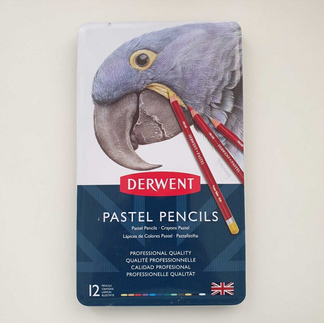 Derwent Pastel Pencils, Set of 12, Hobbies & Toys, Stationery & Craft ...