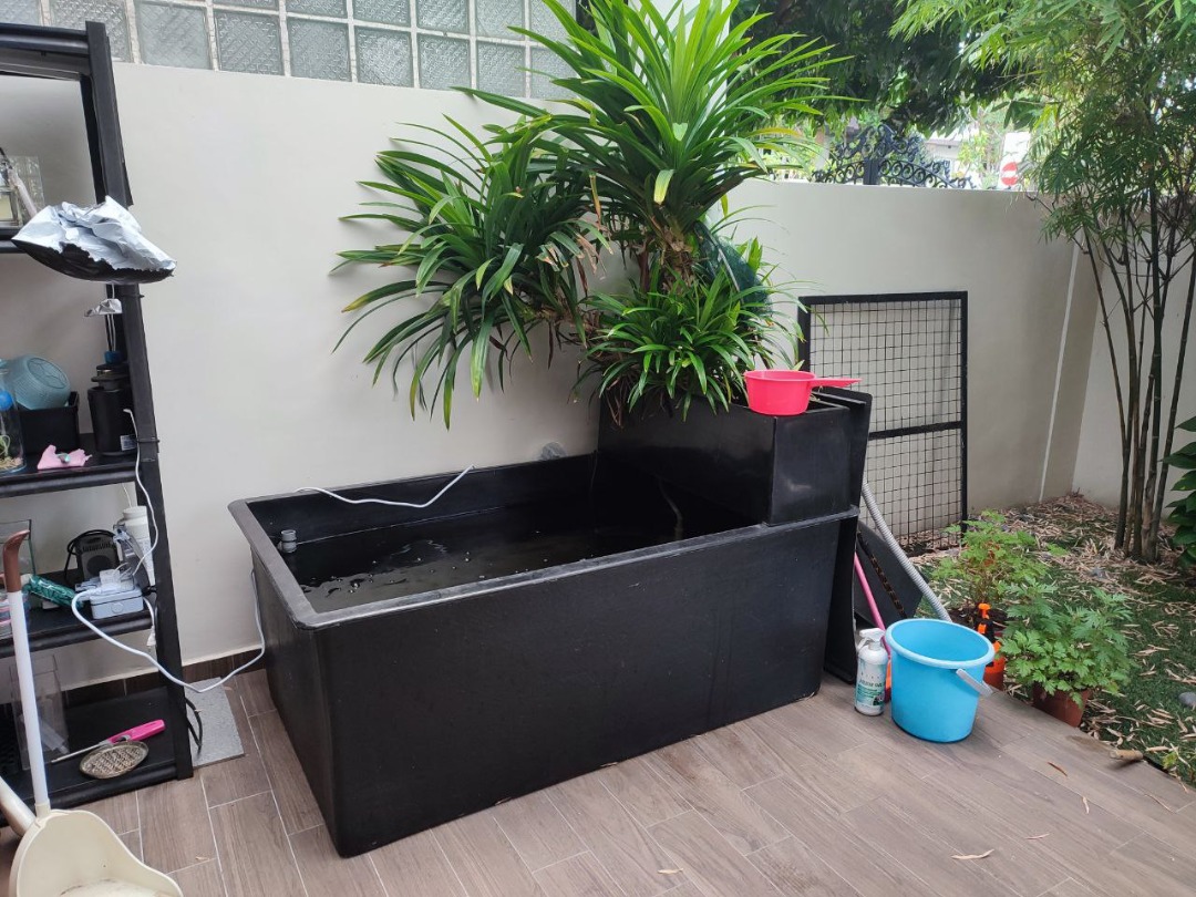 Fibreglass Tank for Koi/ autdoor pond 2m x 1m x 1m, Pet Supplies, Homes ...