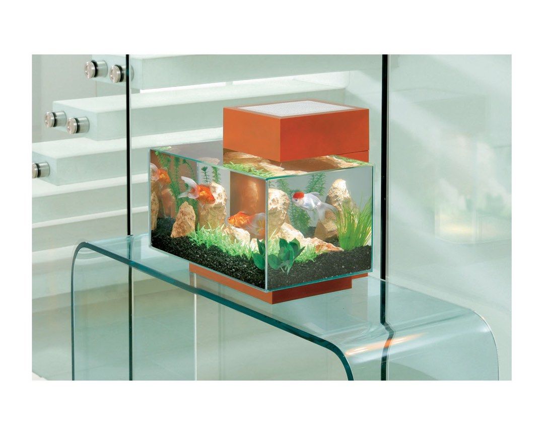 Fluval Edge 23L Red Aquarium Set (filtration included), Pet Supplies ...