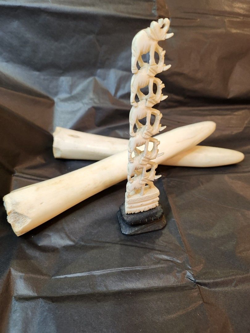 Hand Carving Elephant Stag Decoration - India, Hobbies & Toys ...