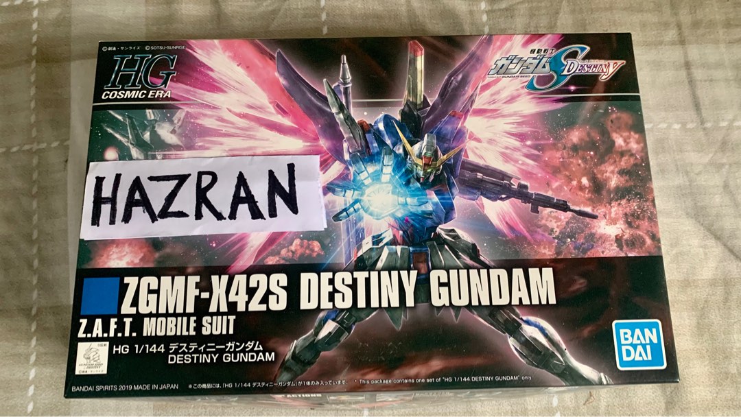 HG Destiny Gundam, Hobbies & Toys, Toys & Games on Carousell