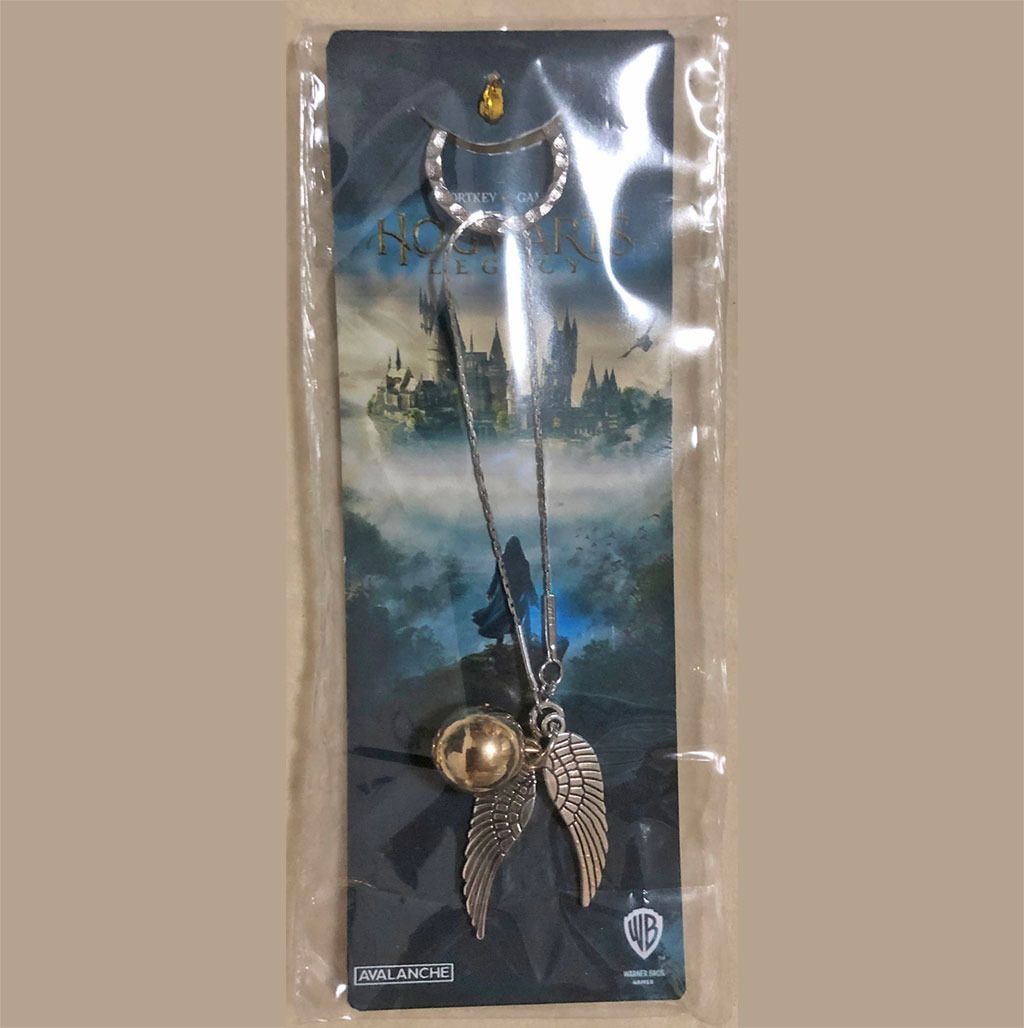Hogwarts Legacy Collector's Edition + Keychain (R1), Video Gaming ...