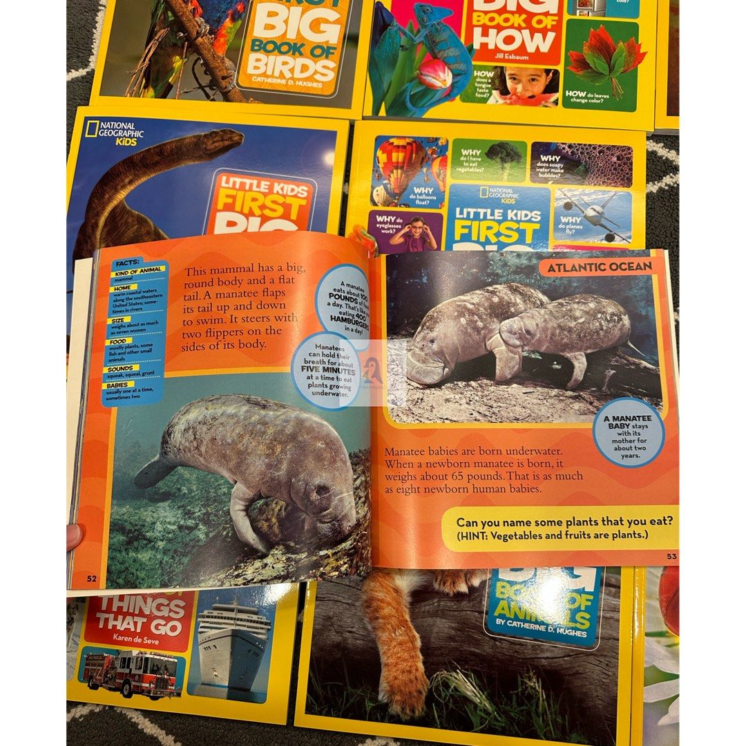 National Geographic Kids Book Set, Hobbies & Toys, Books & Magazines ...
