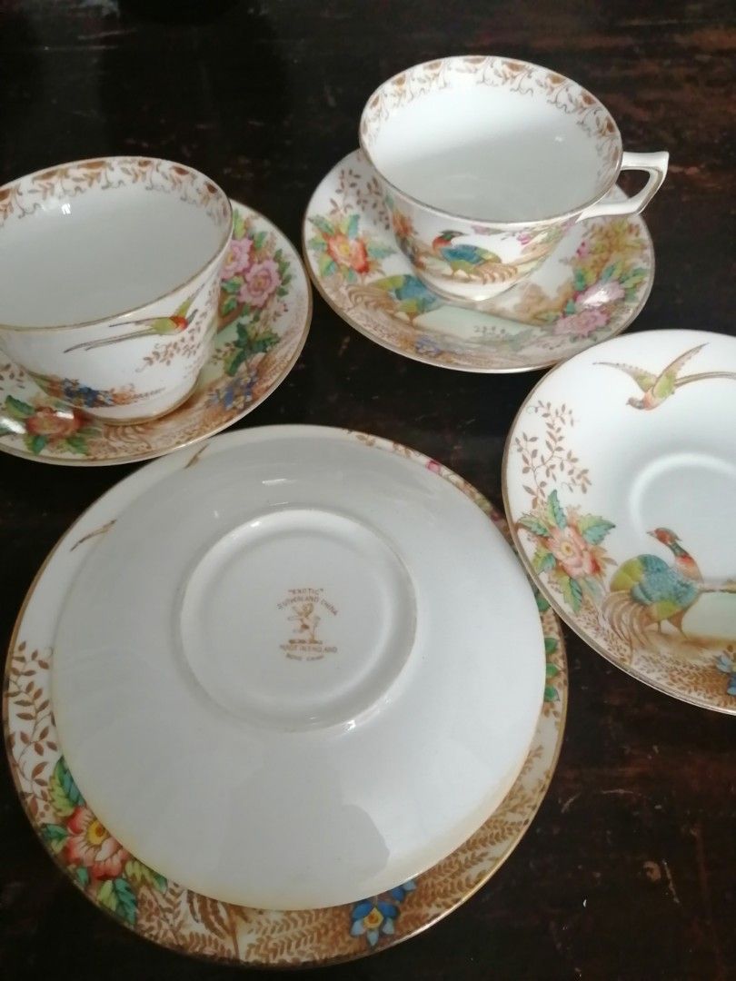 RARE Vintage Sutherland China "EXOTIC" pattern teacup and saucer ...