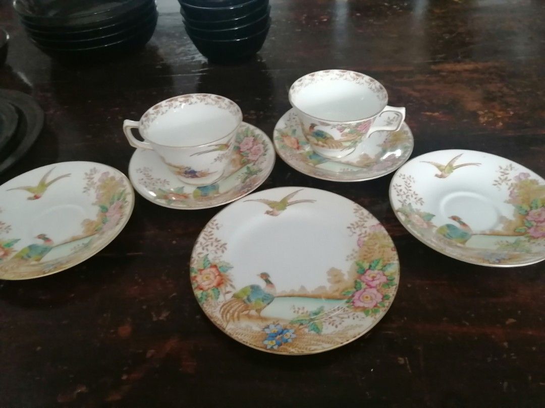 RARE Vintage Sutherland China "EXOTIC" pattern teacup and saucer ...