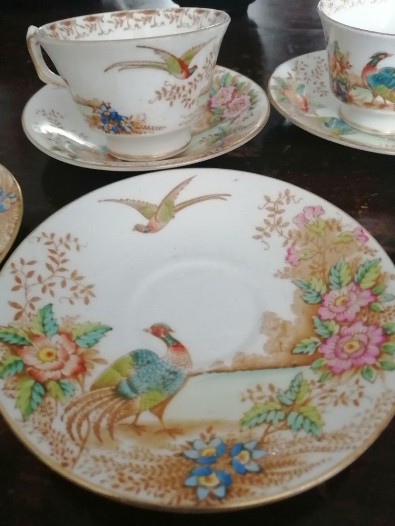RARE Vintage Sutherland China "EXOTIC" pattern teacup and saucer ...