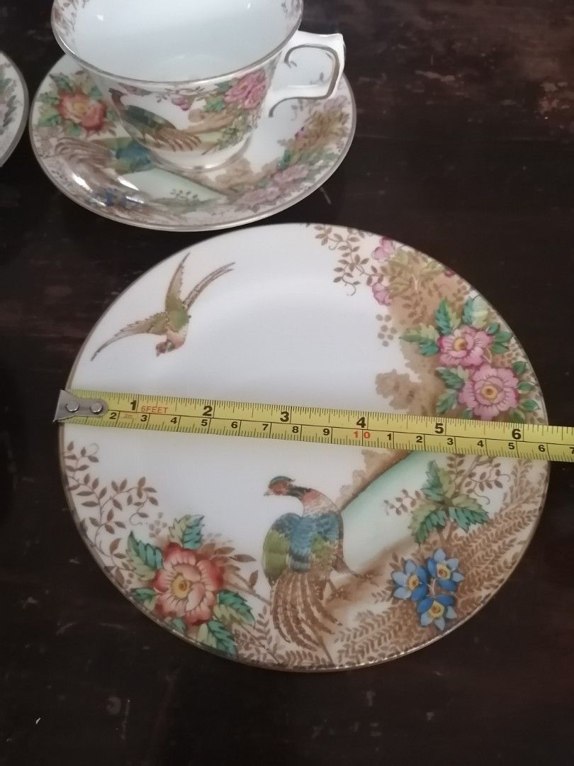RARE Vintage Sutherland China "EXOTIC" pattern teacup and saucer ...